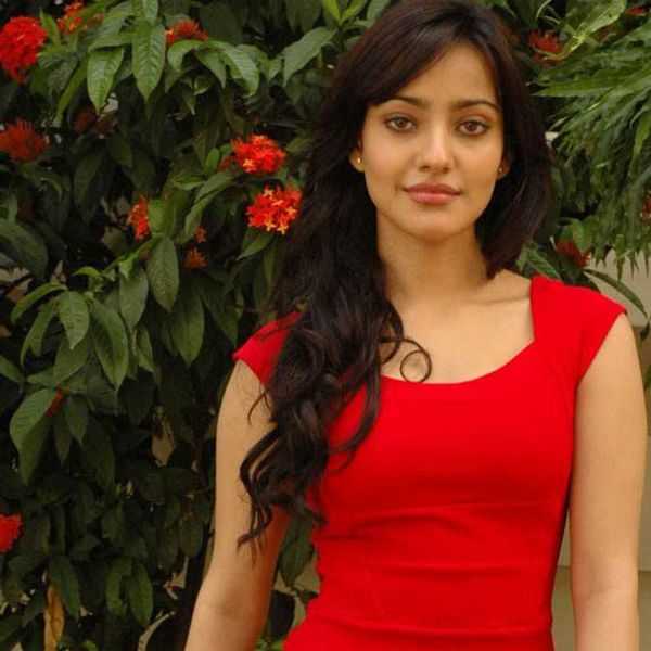 Neha Sharma In Red Jeans