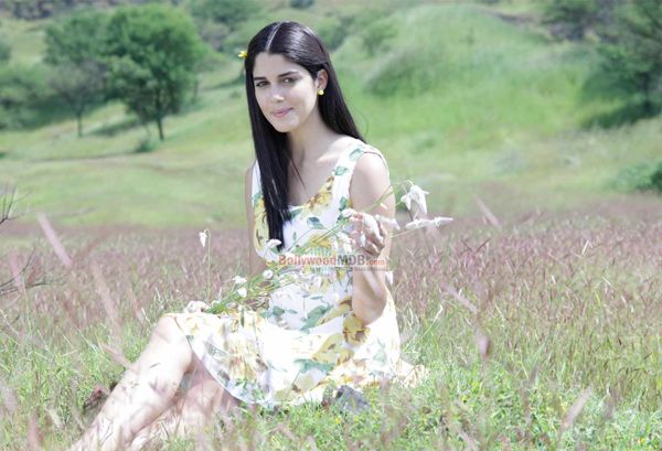Izabelle Leite Wallpapers